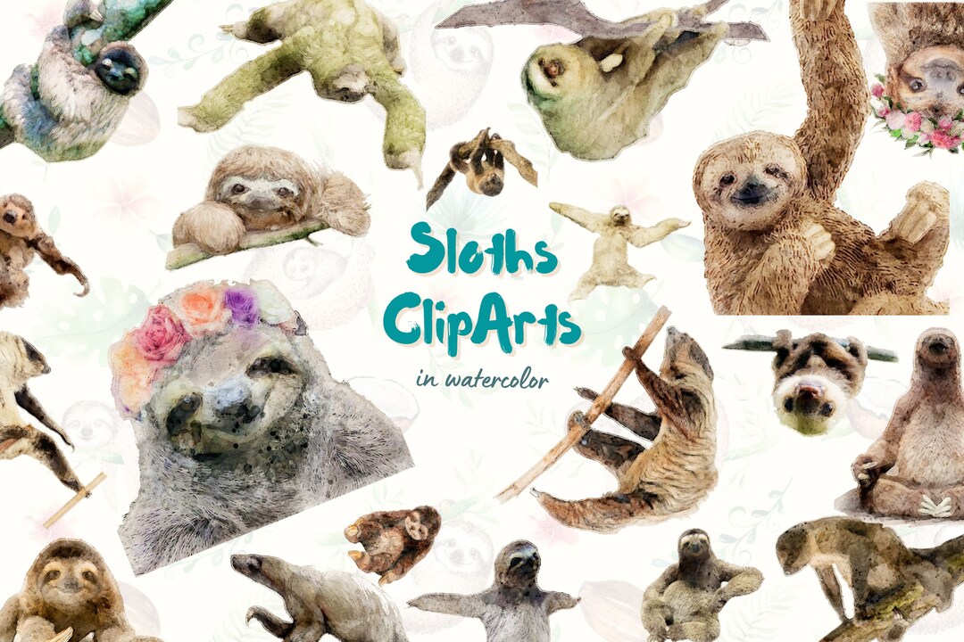 20 Sloth Cliparts | Sloth Clip Art | Sloth Watercolor Clip Arts | Sloth ...