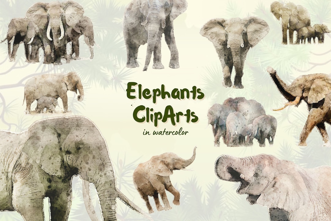 10 Elephants Cliparts | Elephants Clip Art | Elephants Watercolor Clip ...