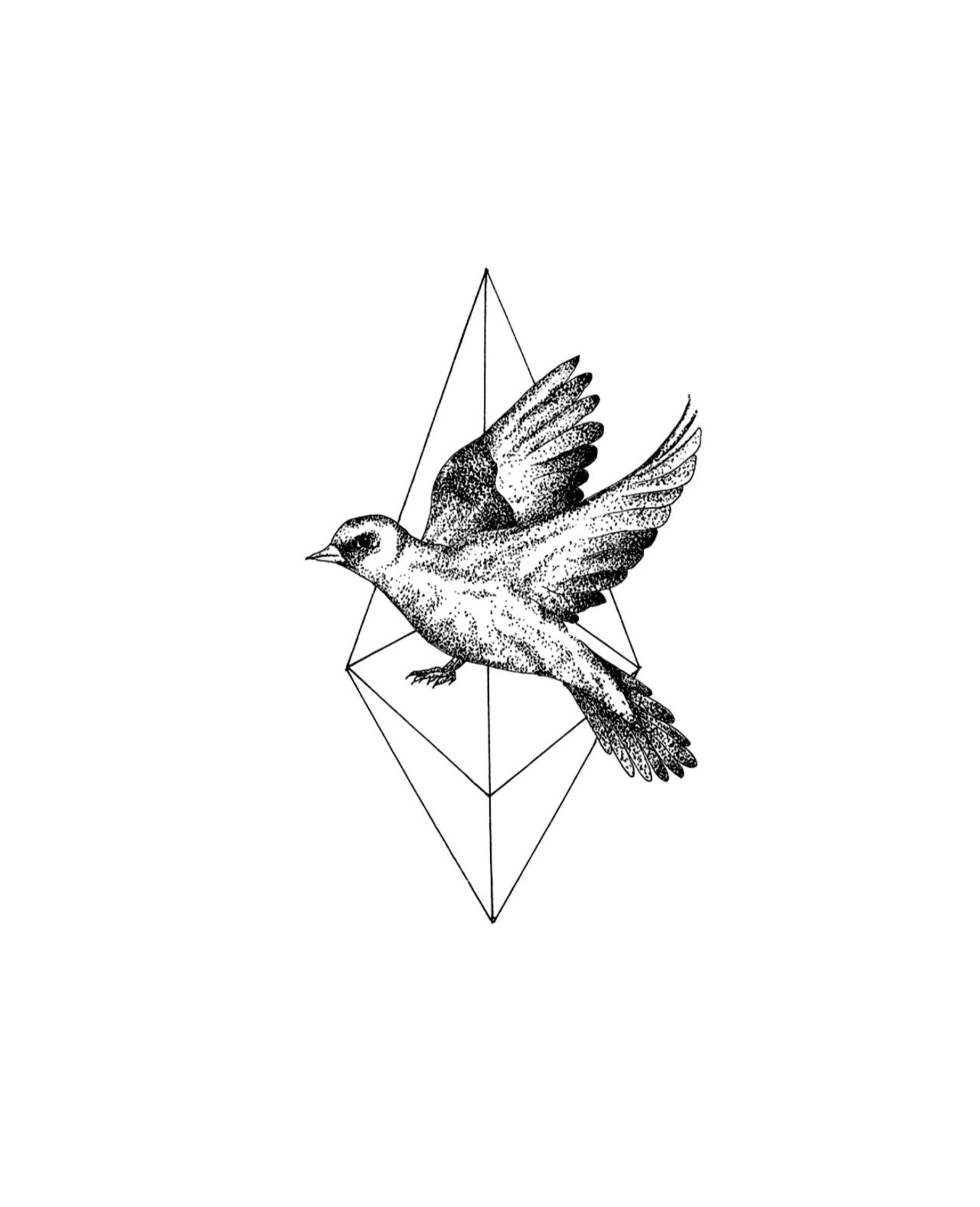 Geometric Bird Art Print - Etsy