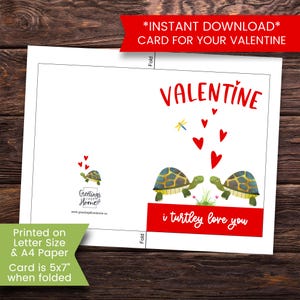 Turtle Valentines Card, Turtle Valentines Day Card, Turtle Lovers ...