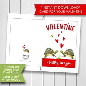 Turtle Valentines Card, Turtle Valentines Day Card, Turtle Lovers ...