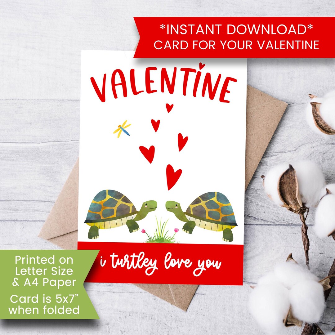 Turtle Valentines Card, Turtle Valentines Day Card, Turtle Lovers ...