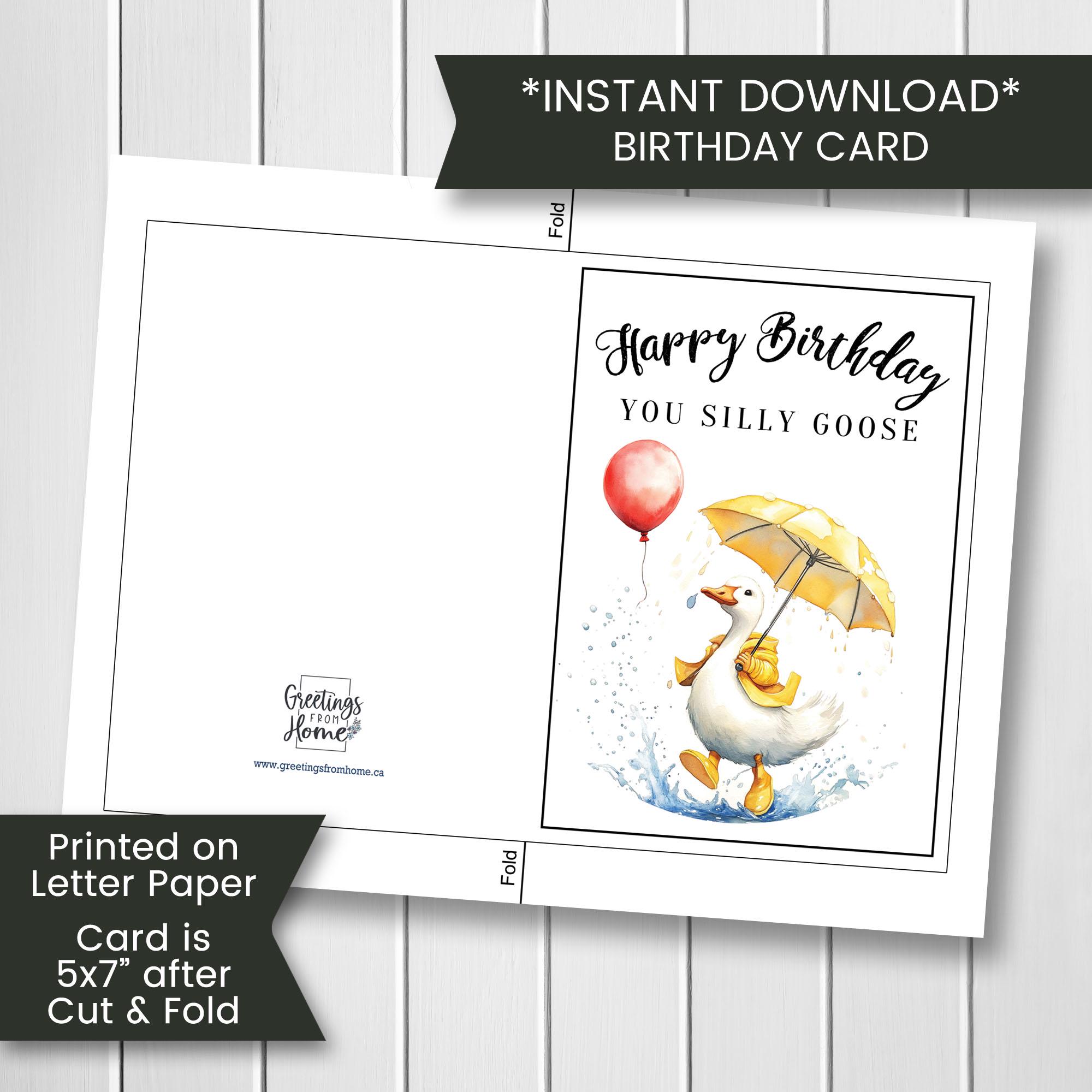 Silly Goose Birthday Card for Friend, Printable Goose Birthday Card for ...