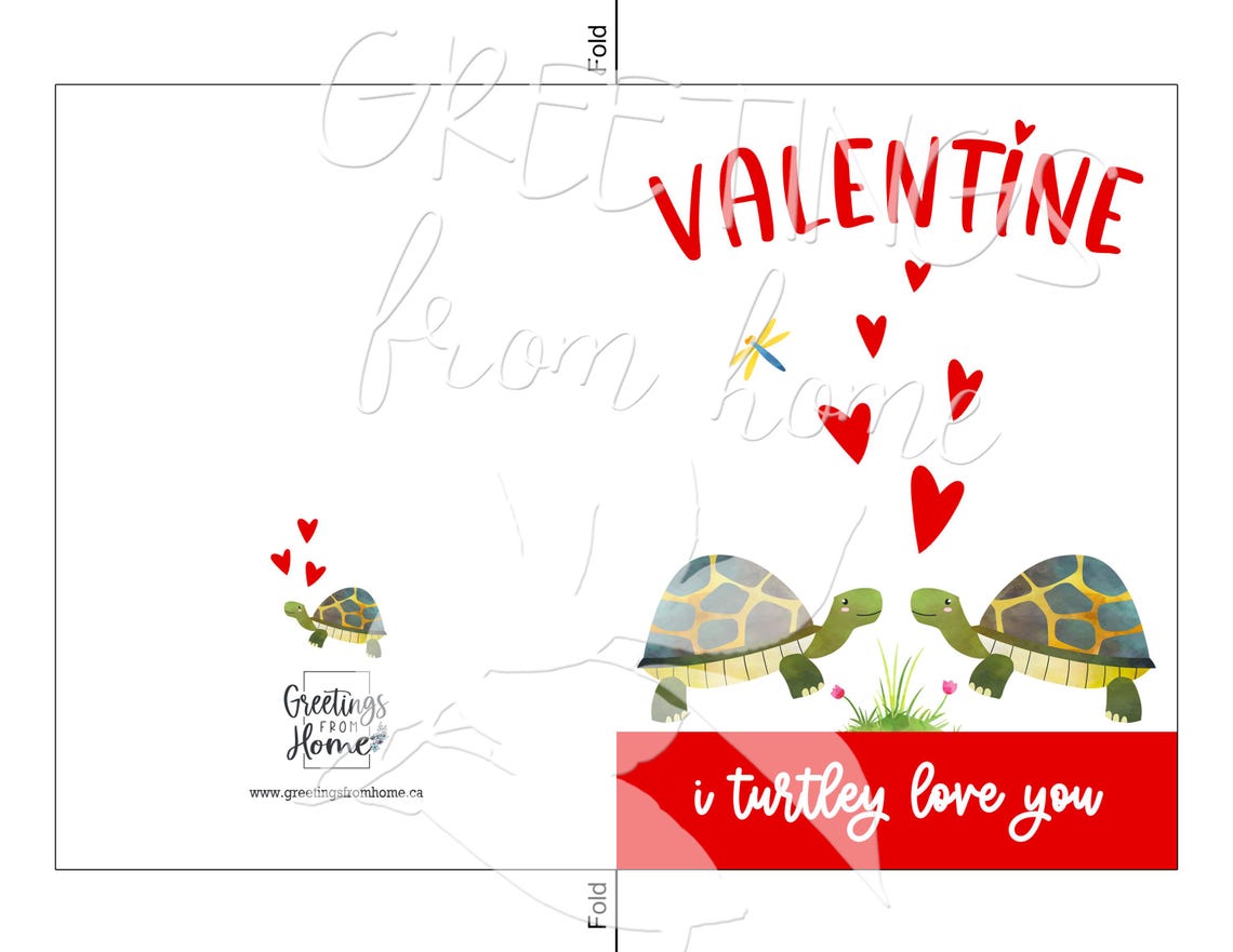 Turtle Valentines Card, Turtle Valentines Day Card, Turtle Lovers ...