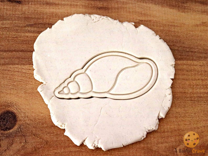 Sea Shell Cookie Cutter Set STL File – Nautilus, Conch, Scallop ...