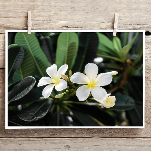 Rame Definition Printable Poster Instant Download | Etsy UK