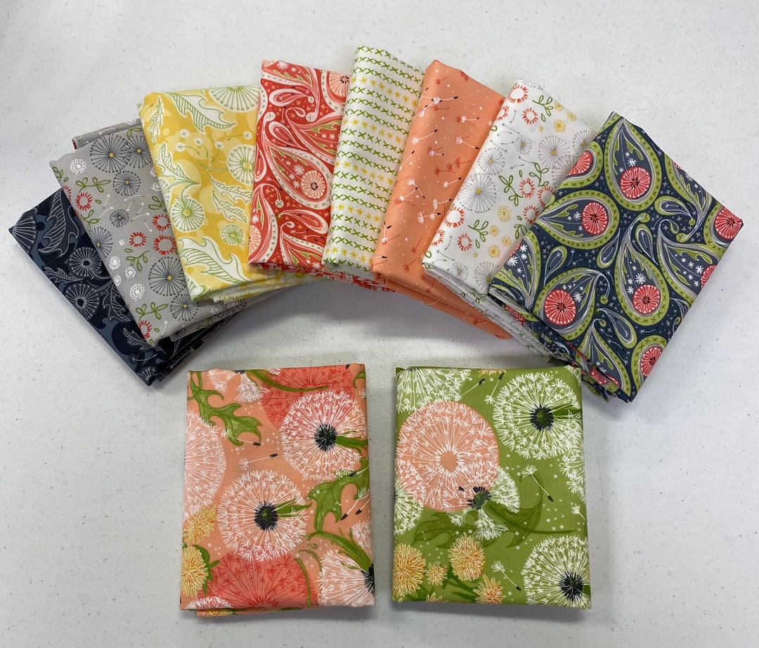 10 Half Yard Pack #1 of Dandi Duo by Robin Pickins for Moda - Etsy