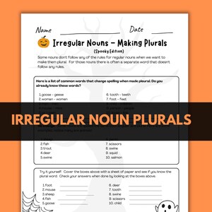 Plural Nouns 8 Noun Rules Common Core Third Grade Plural - Etsy