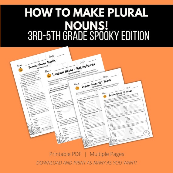 Plural Nouns 8 Noun Rules Common Core Third Grade Plural - Etsy