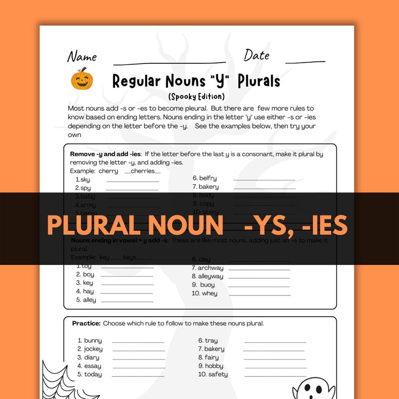 Plural Nouns 8 Noun Rules Common Core Third Grade Plural - Etsy