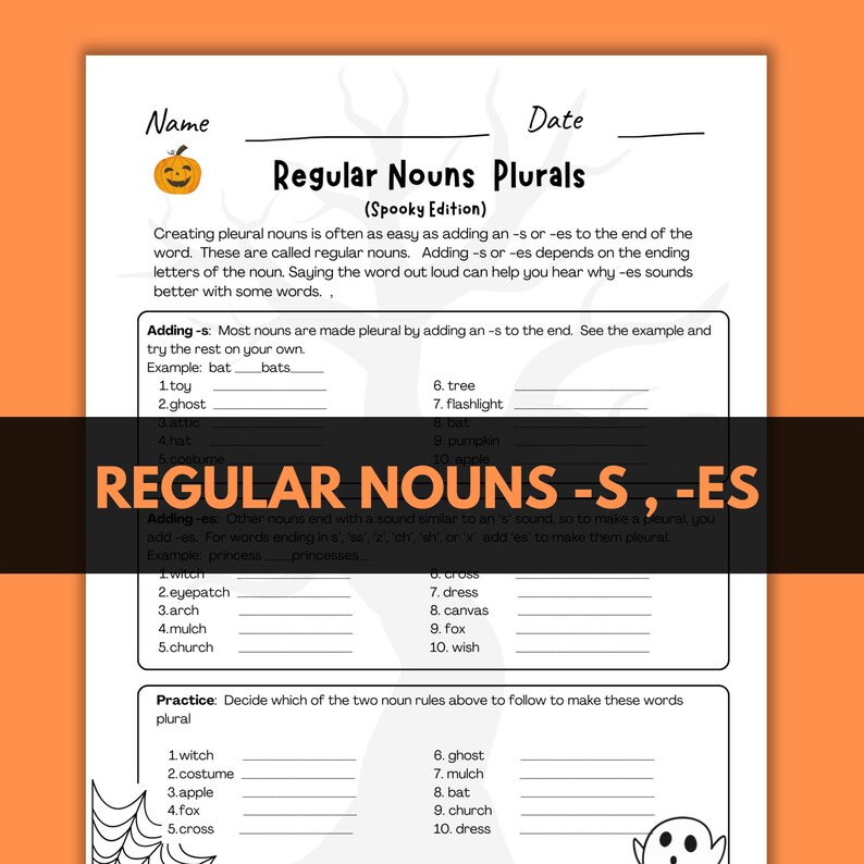 Plural Nouns 8 Noun Rules Common Core Third Grade Plural - Etsy