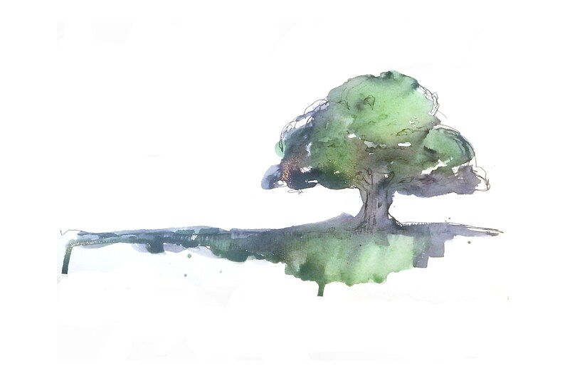 Wisdom - Sketches in Ink and Watercolour of the Wise Old Oak Tree, 3 ...