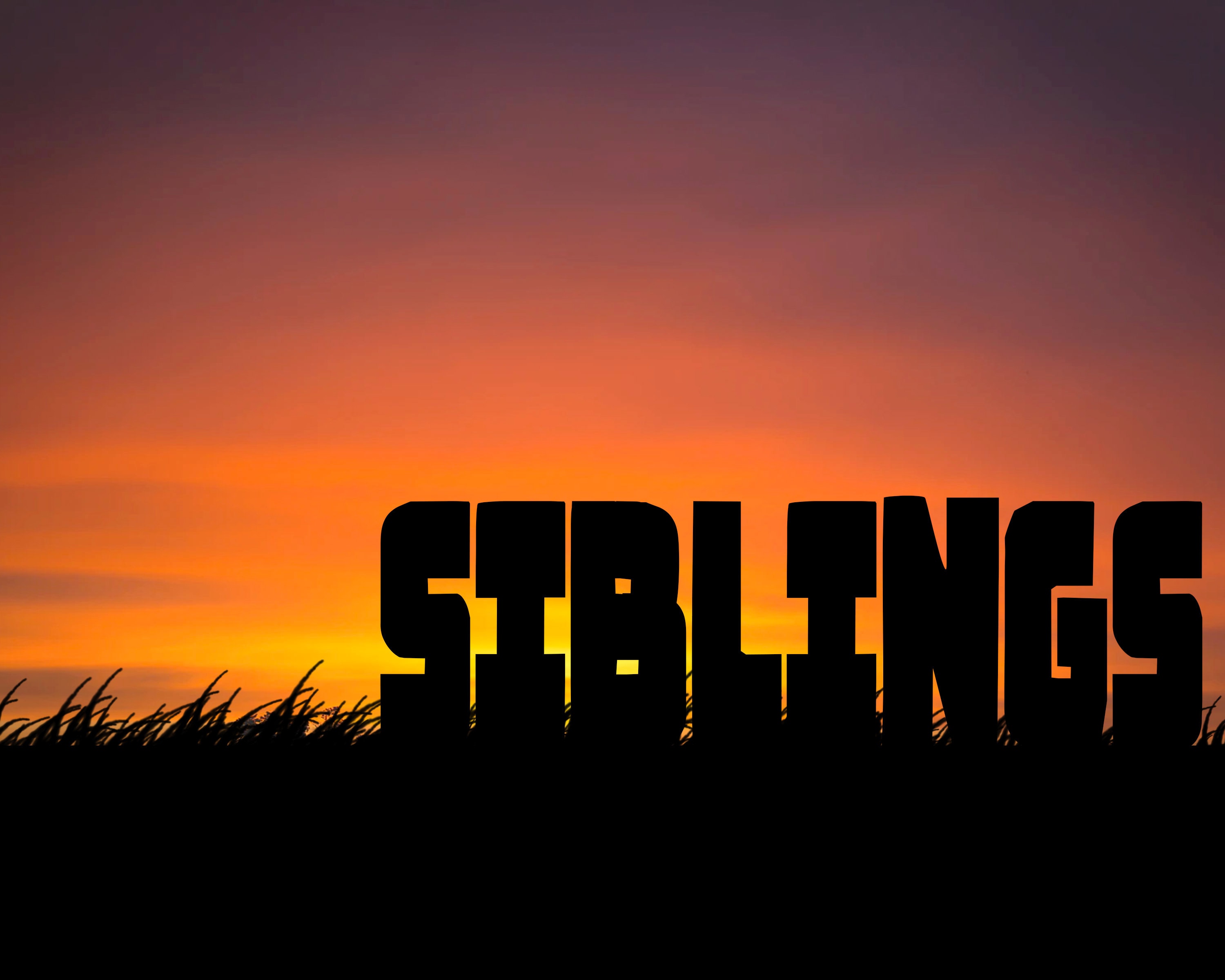 INSTANT DOWNLOAD - Silhouette Siblings 8x10, Background, Digital ...