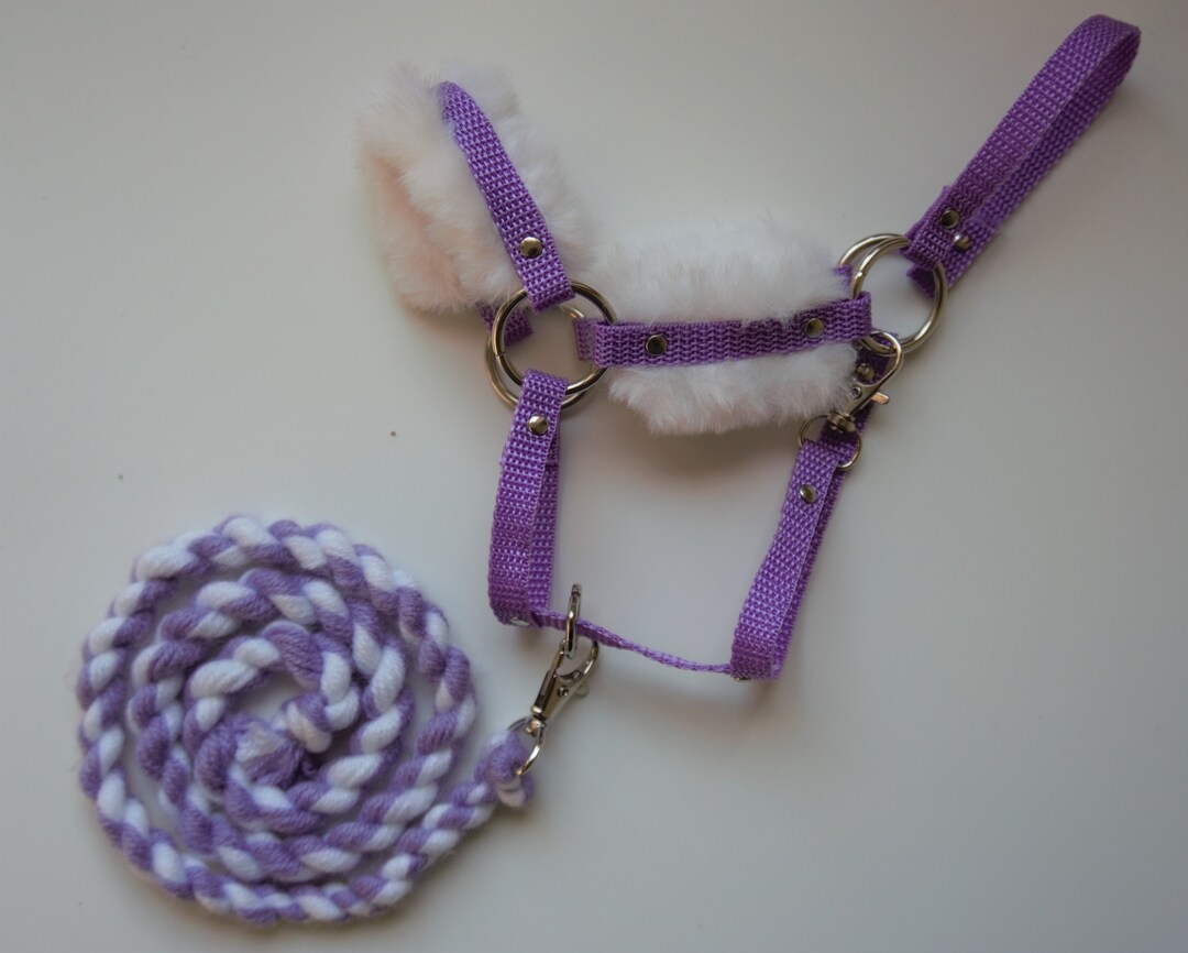 Set "lavender Princess" - Halter for Hobby Horse With Lead - Etsy