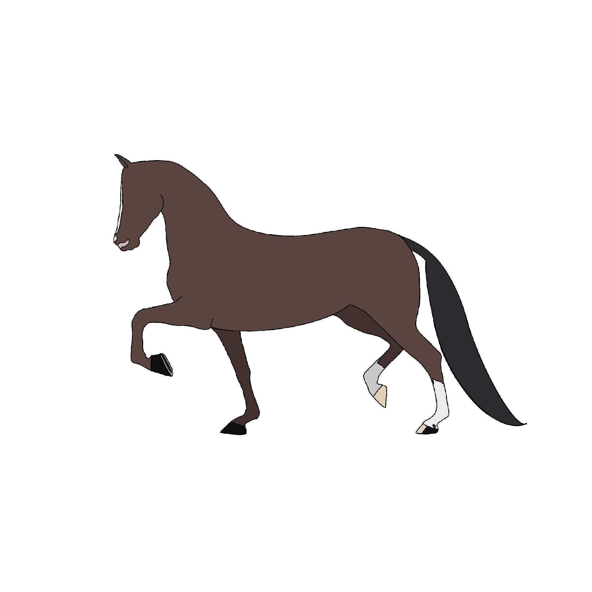Custom Horse Drawing FULL BODY (digital) - Etsy