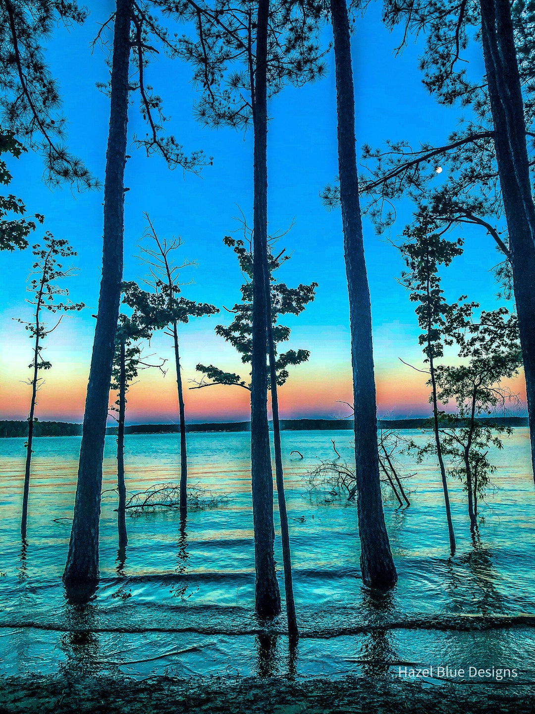 Jordan Lake Teal Trees - Etsy