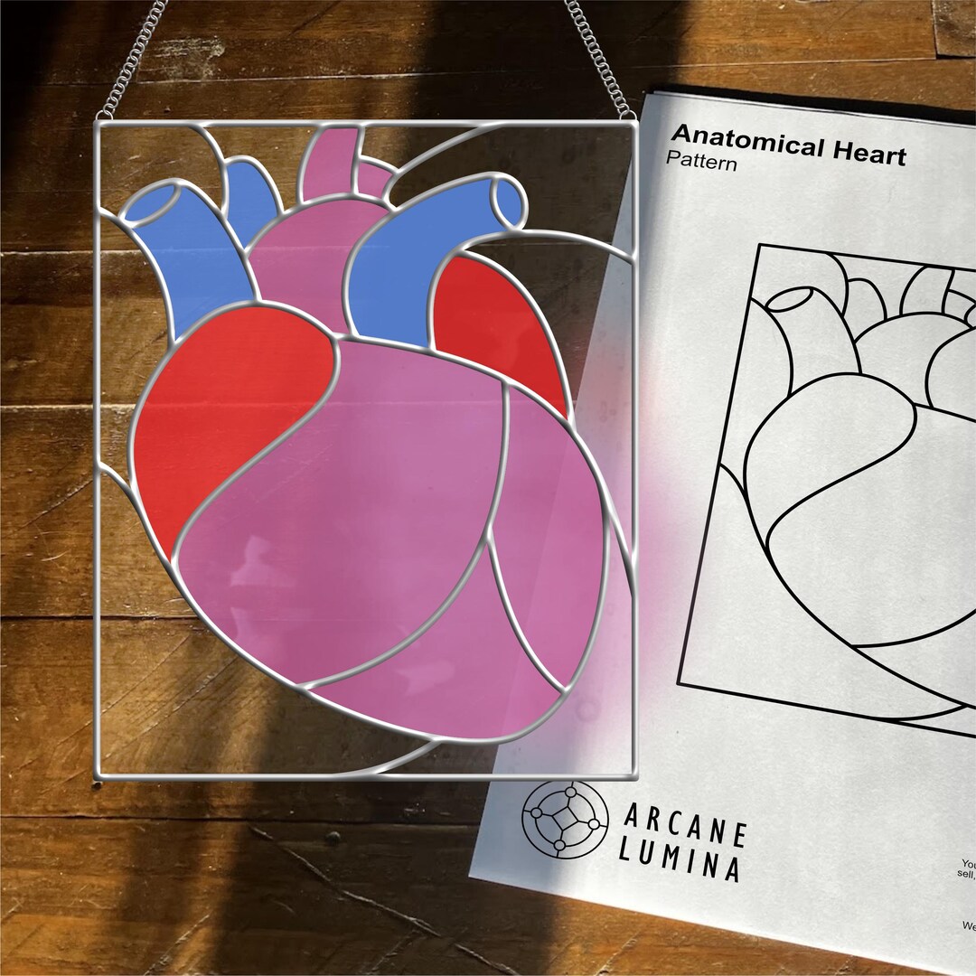 Anatomical Heart, Stained Glass Pattern, Suncatcher, Digital Download ...