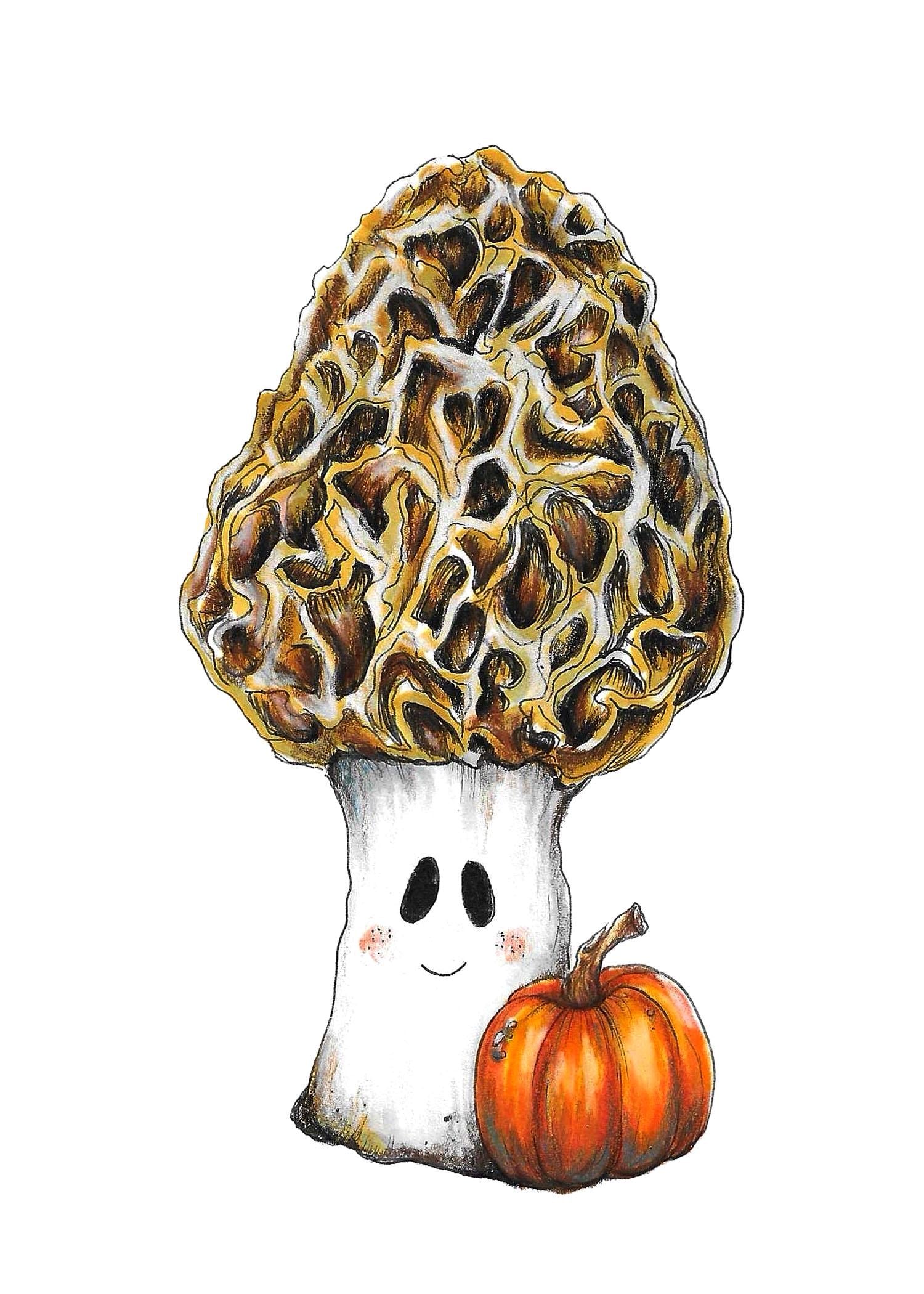 5x7 Morel Mushroom Fall Print, Morel Mushroom Art Print, Morel and ...