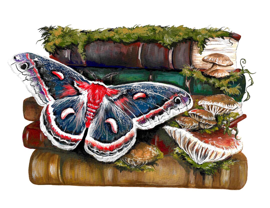 8.5x11 Moth and Books Art Print, Moth Illustration, Cottagecore Books ...