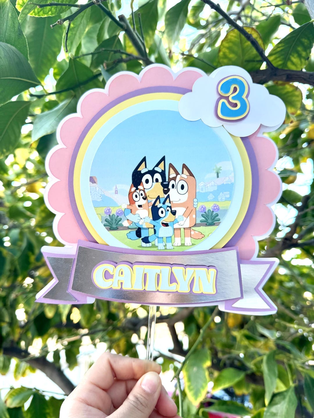 Personalized Bluey Cake Topper: Groovy Birthday Party Decor - Etsy