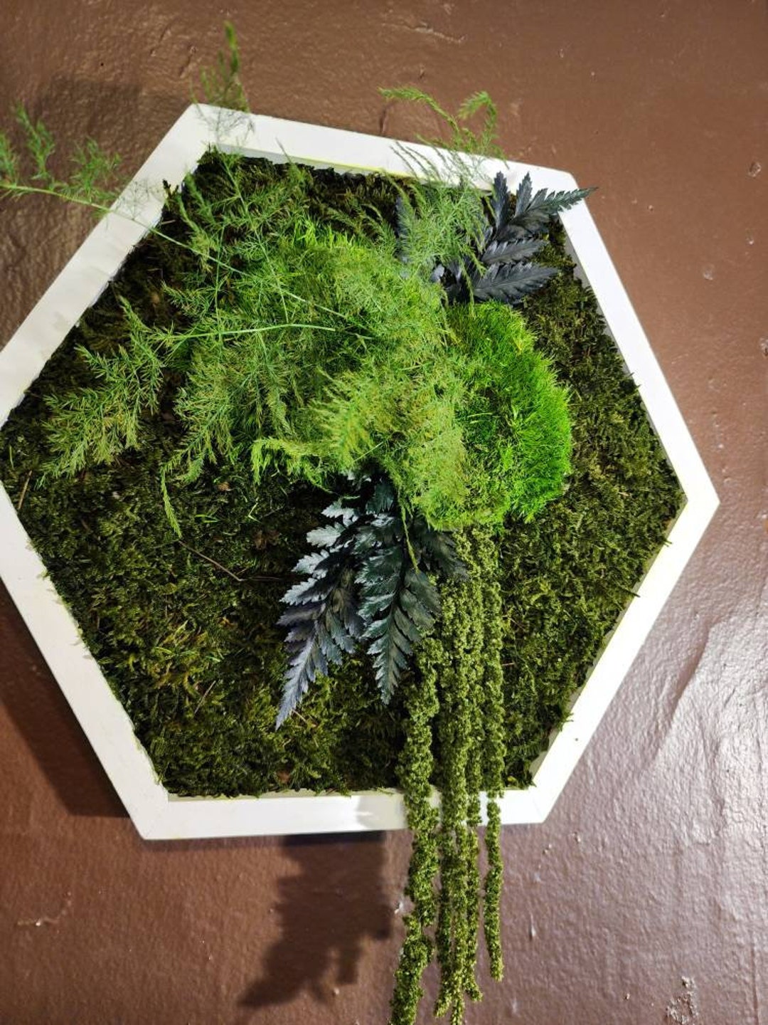 Hexagon Moss Wall Art | Gift Nature Plants Interior Design Jungle Green ...