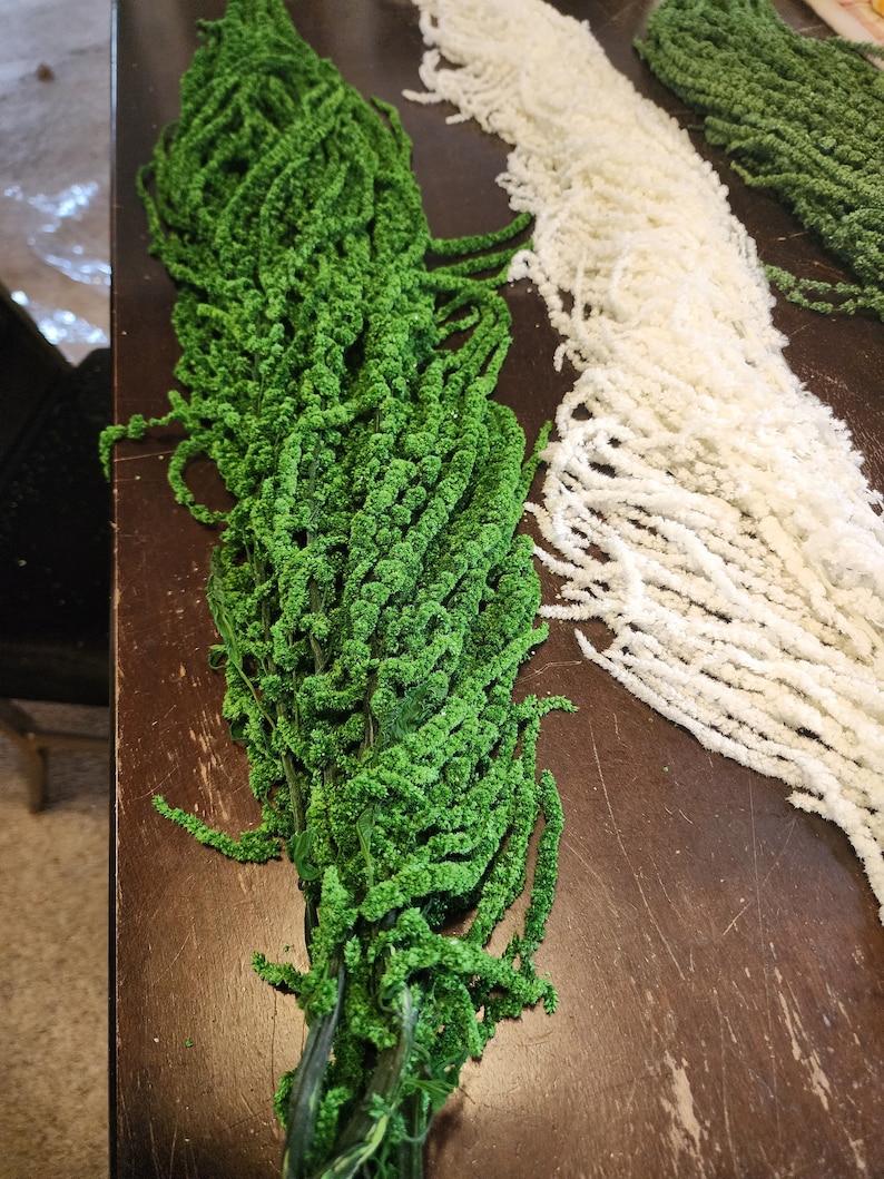 Preserved Green Hanging Amaranthus Wedding Table Decor - Etsy