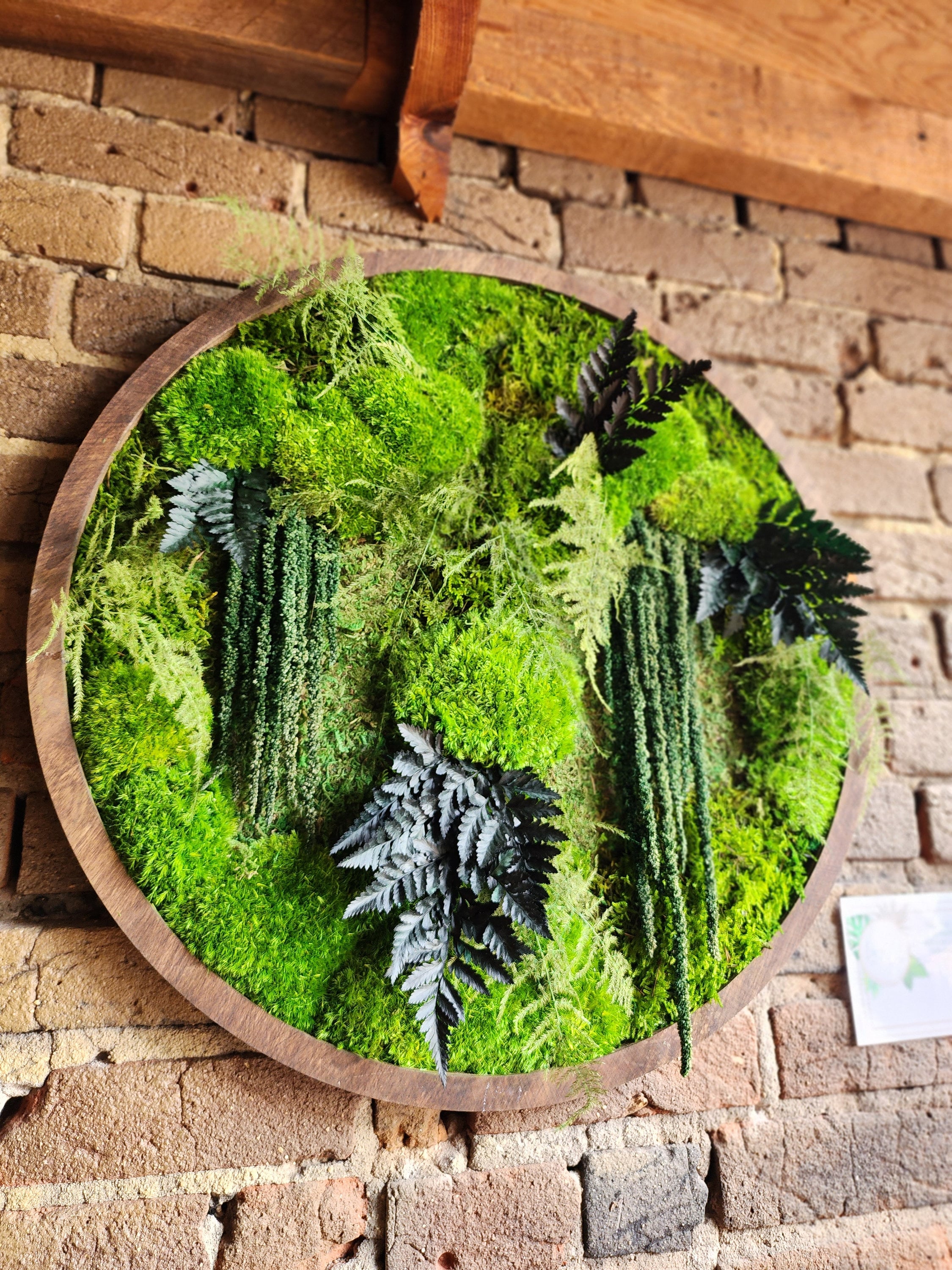 Circle Moss Wall Art Circular No Maintenance Real Plants - Etsy