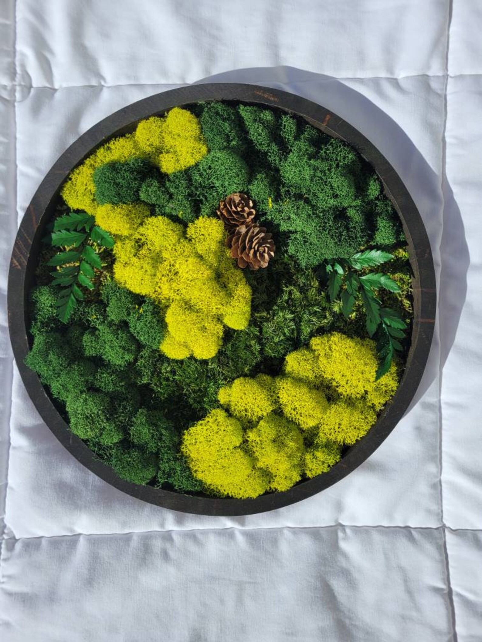 Circular Moss Art With Ferns | Woodland Forest Inspired With Ferns ...