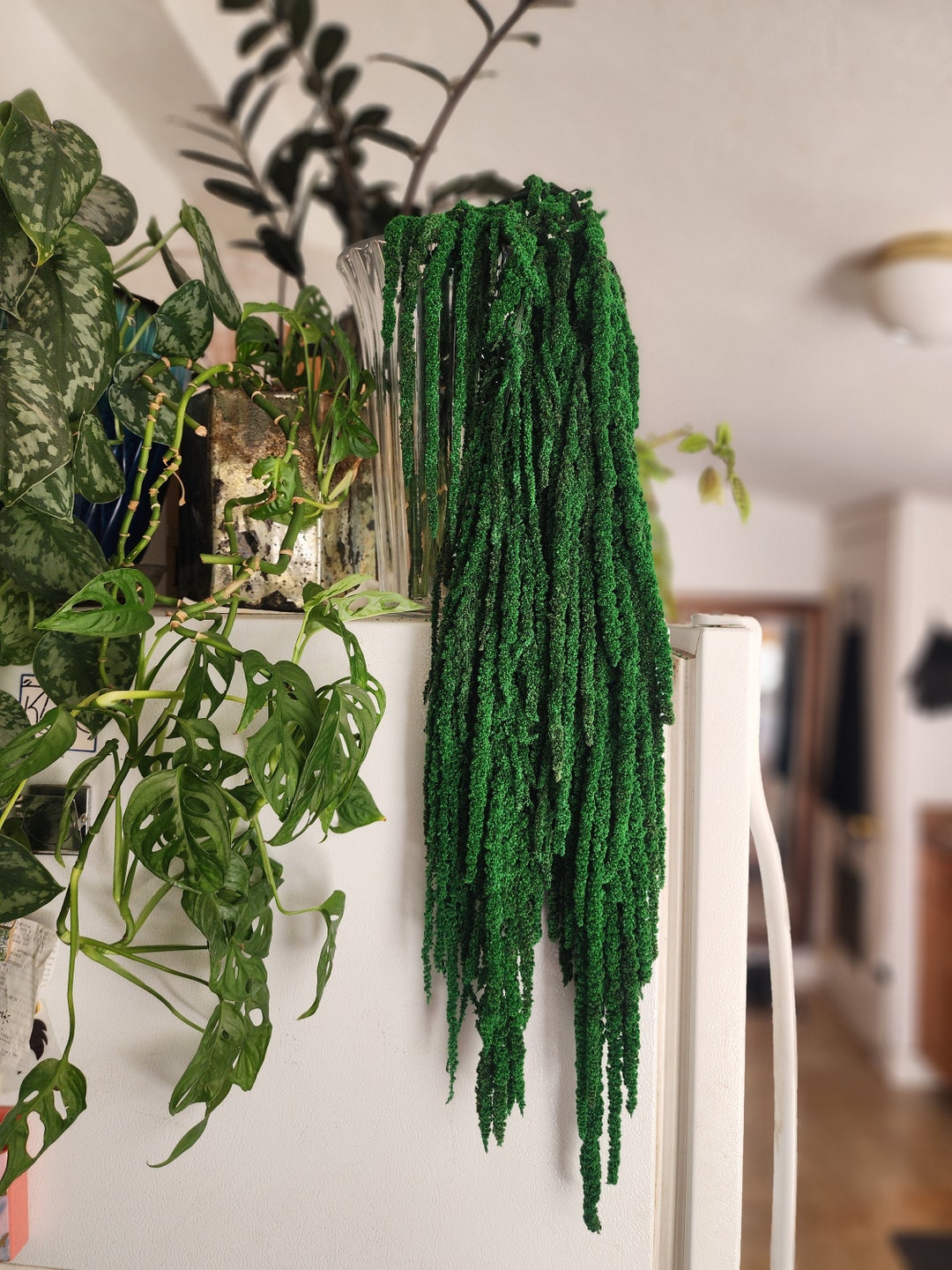 Preserved Dark Green Hanging Amaranthus | Wedding Table Decor Floral ...