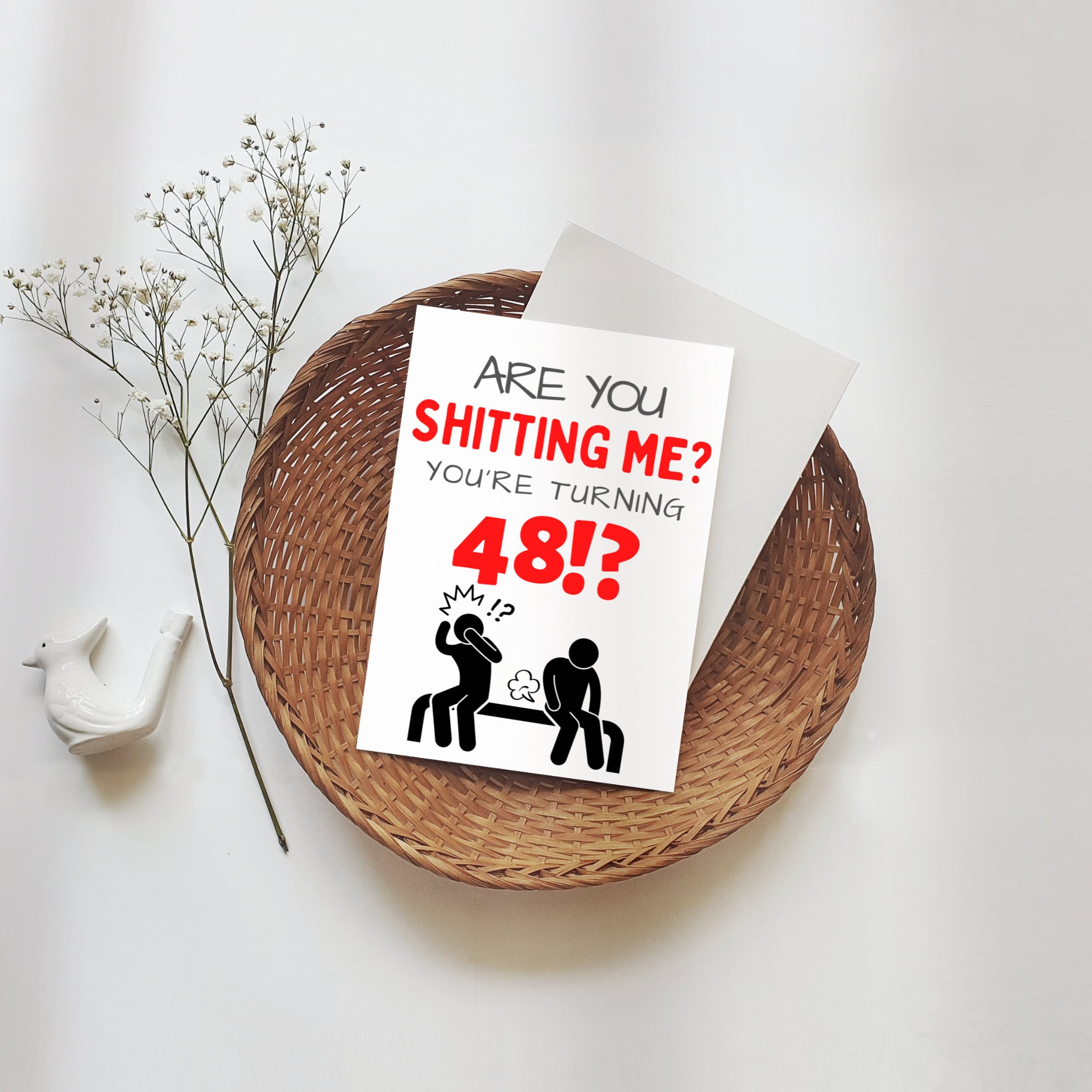 Funny 48th Birthday Card, Funny 48th Birthday Card, 48th Birthday Gift ...