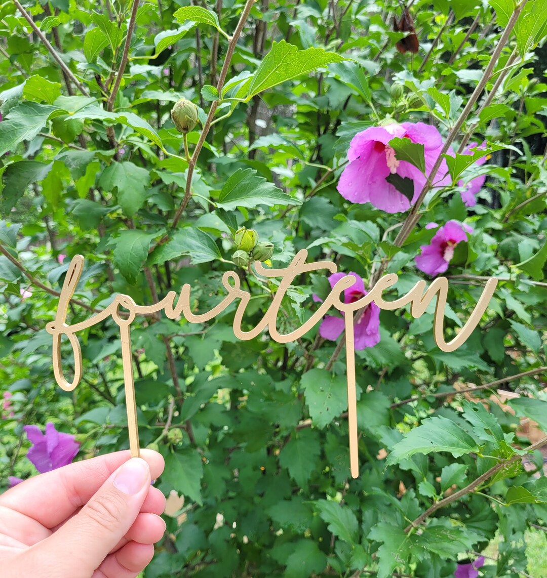 Fourteen Cake Topper | Cake Decoration 14 | 14th Birthday Topper | 14th ...