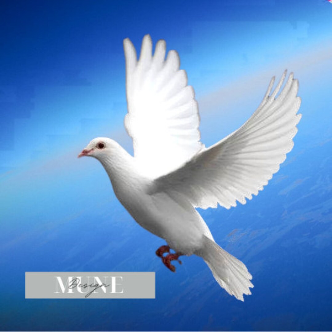 Pigeon Dove Photo Holy Spirit Printable Download Blue White Files 1*1 ...
