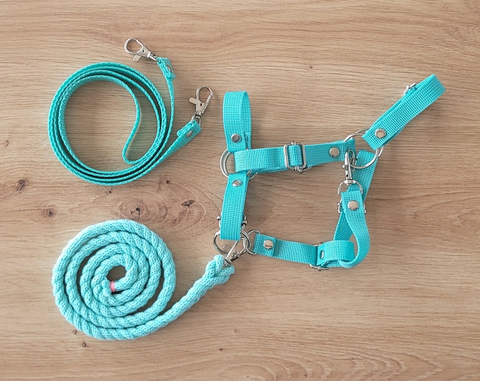 Hobby Horse Halter + Reins + Lead Rope, Hobby Horse Accessories, Hobby ...