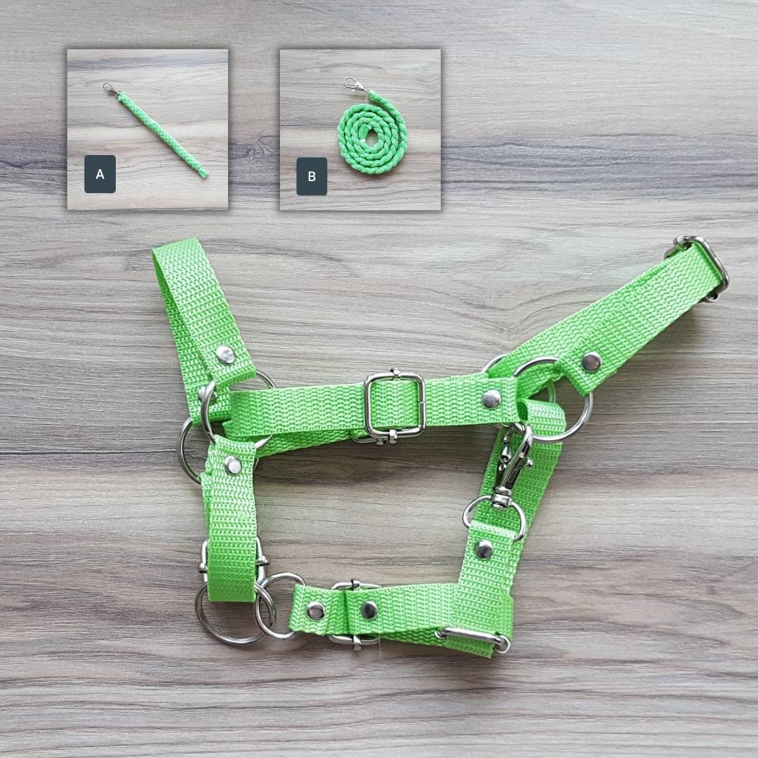 Hobby Horse HALTER + Lead Rope, Green Tape, Hobby Horse Accessories ...