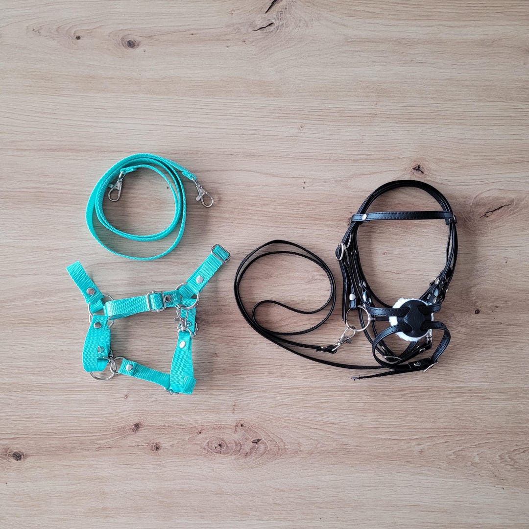 Hobby Horse Mexican Bridle & Mint Halter With Reins Set, Adjustable Set ...