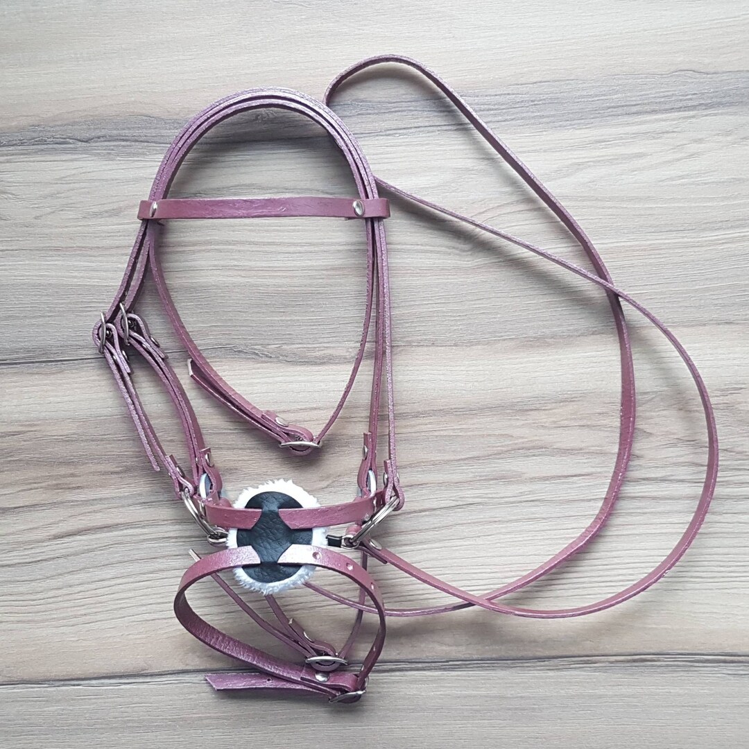 Hobby Horse BRIDLE, Mexican Bridle, Pink Leather, Hobby Horse ...