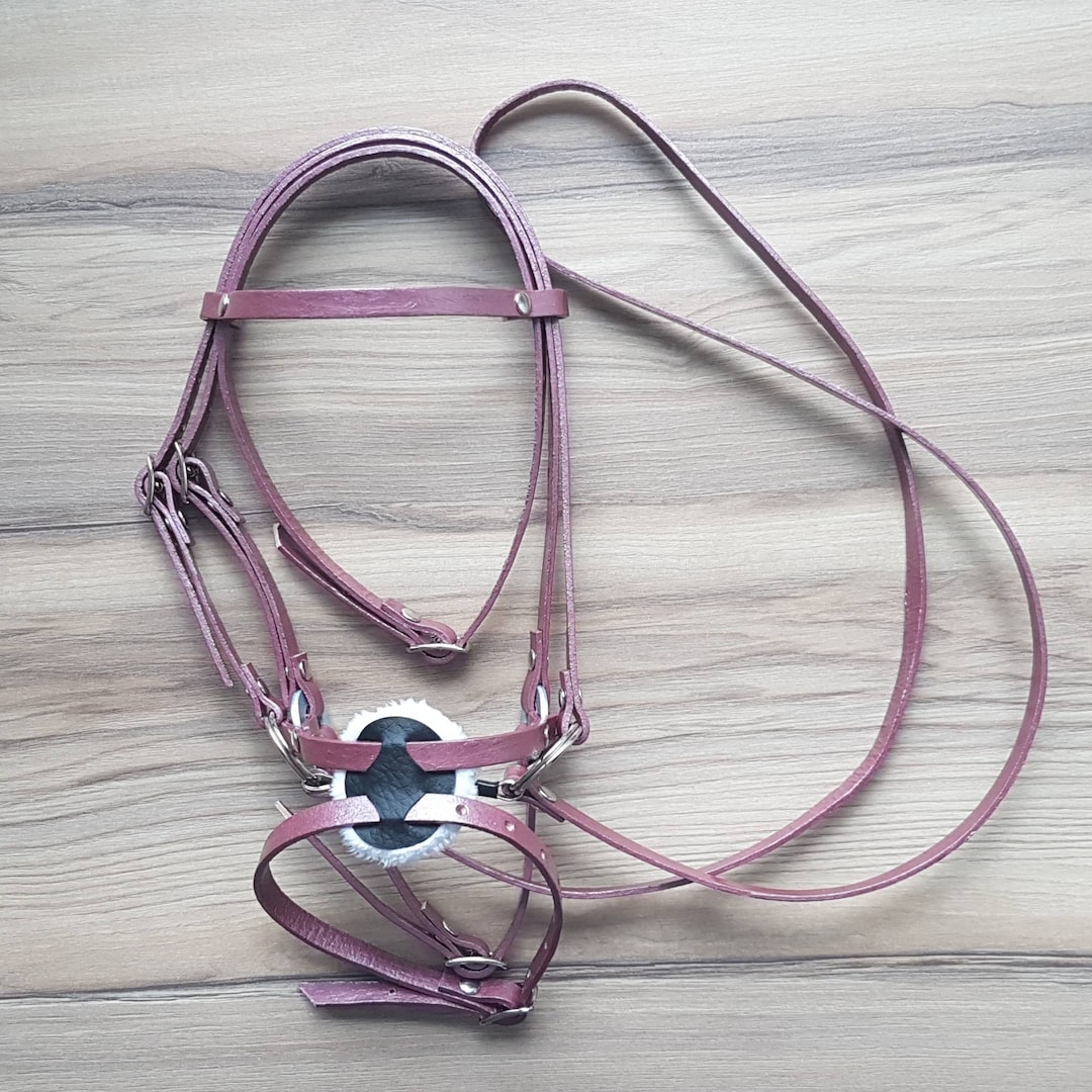 Hobby Horse BRIDLE, Mexican Bridle, Pink Leather, Hobby Horse ...
