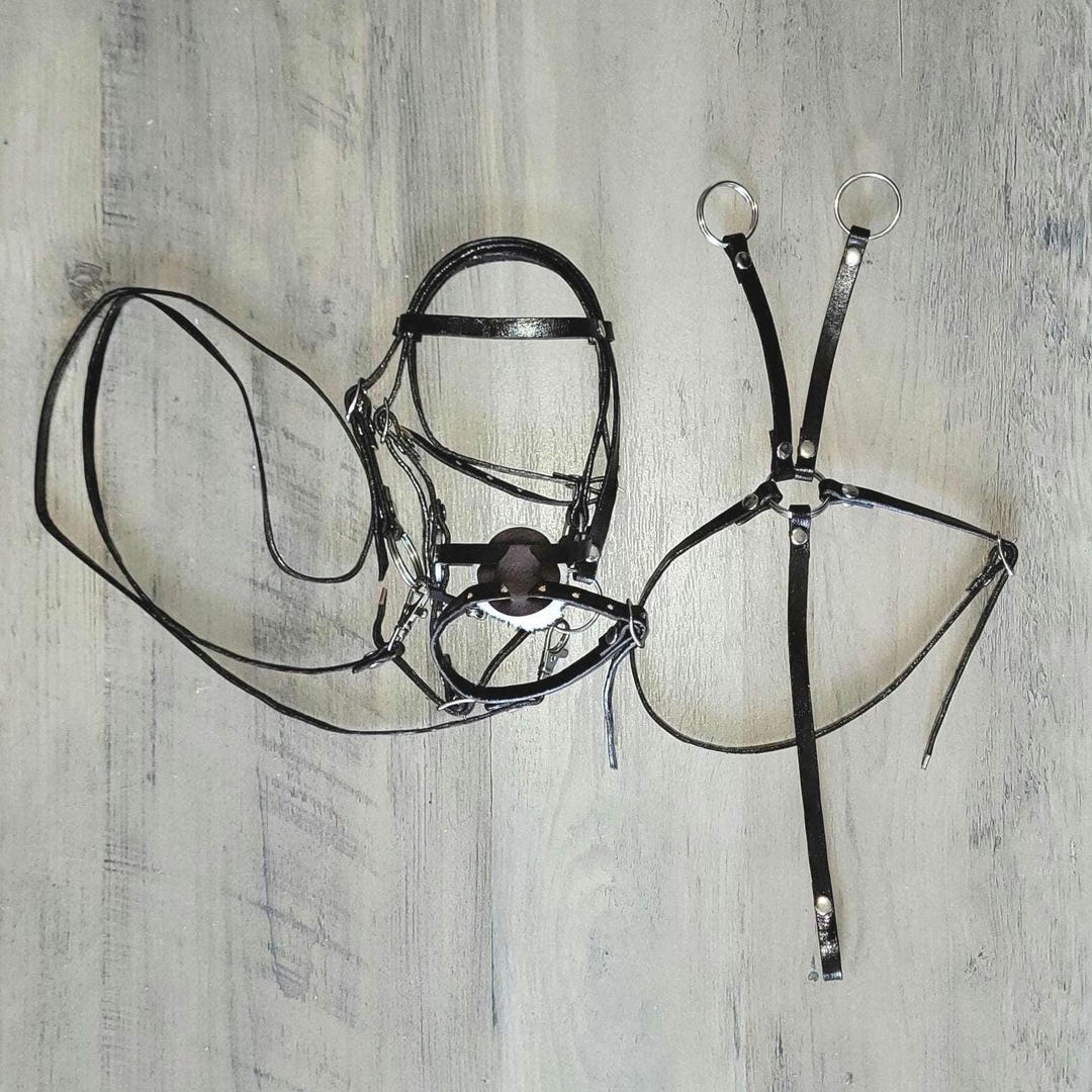 Hobby Horse Bridle Set, Bridle & Breastplate, DARK BROWN Leather ...