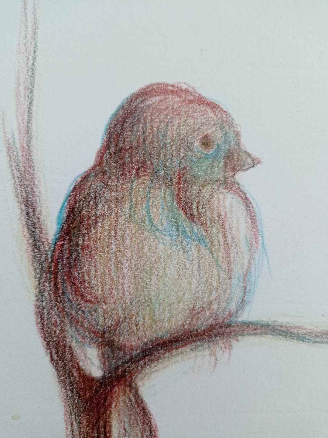 Sketch of a Bird Drawing of a Bird Sparrow Drawing Crayon Drawing ...