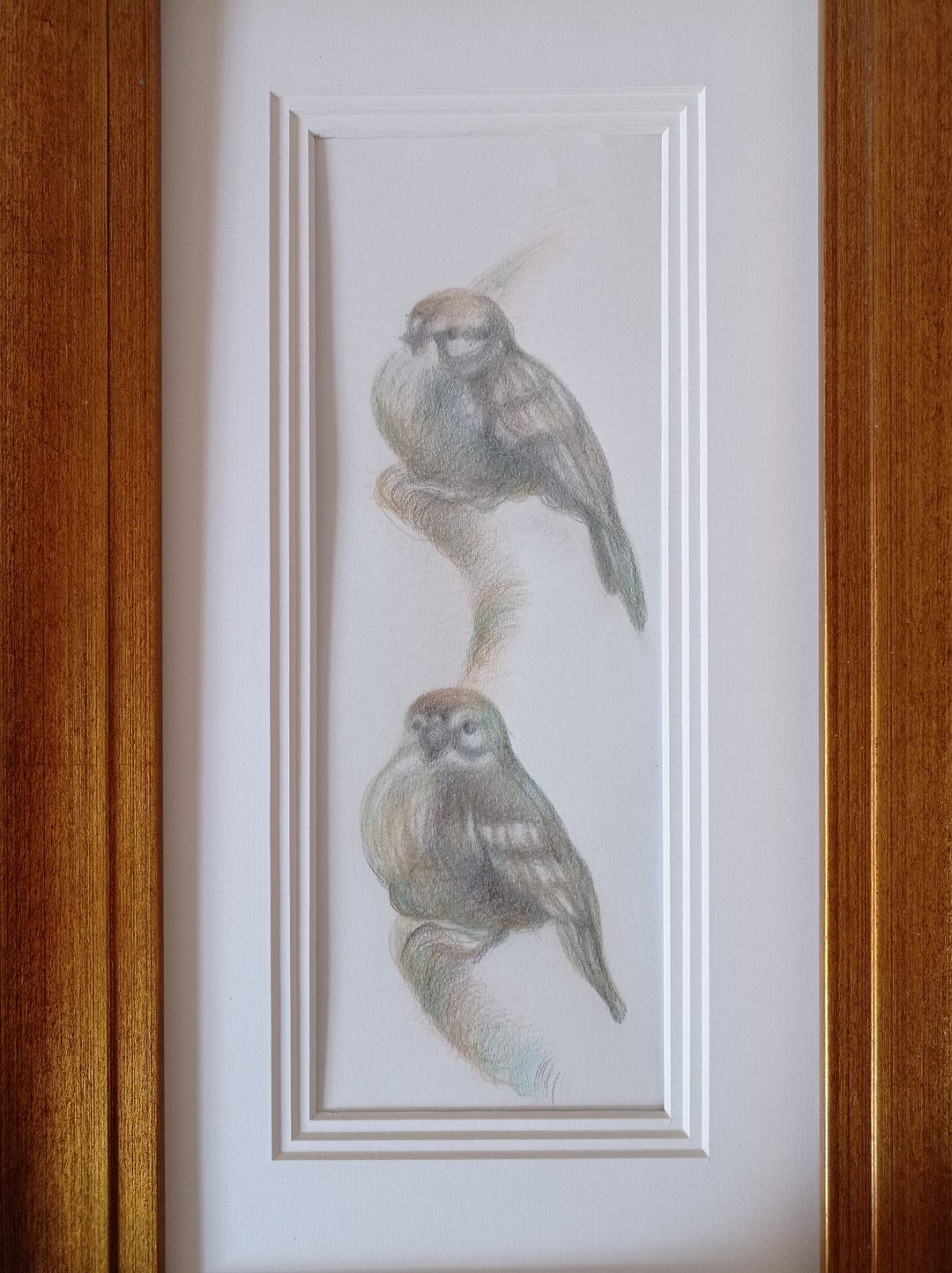 Drawing of a Bird Sparrow Drawing Crayon Drawing Rysunek Kredkami Ptak ...