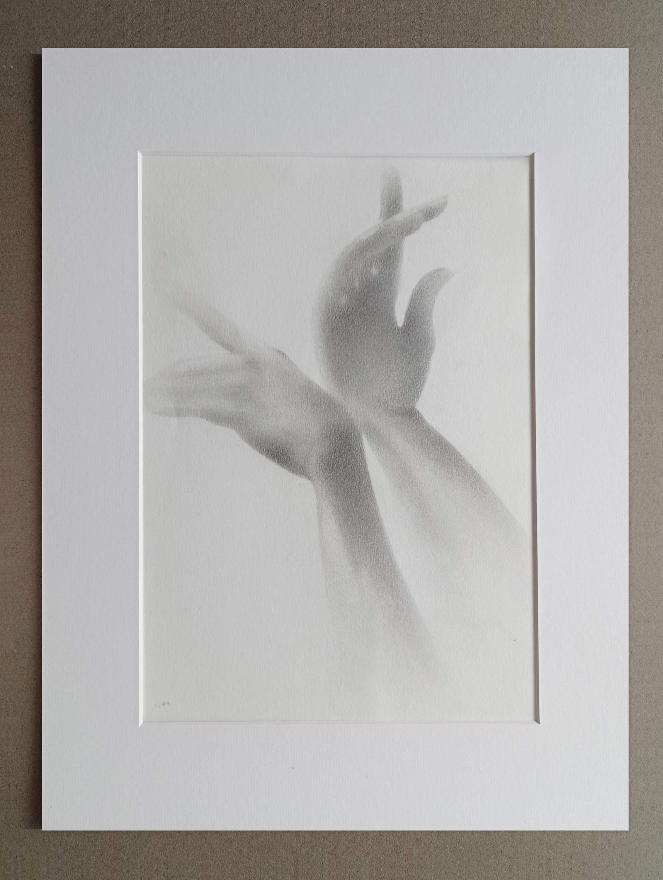 Drawing Hand Study Classic Drawing Hand Drawing Hand Study - Etsy
