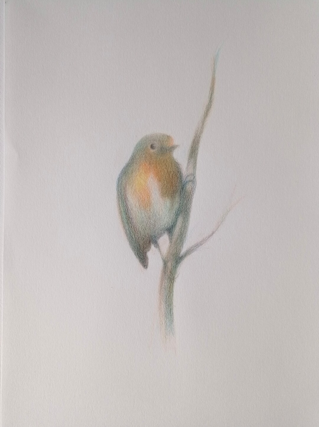 Bird Robin Drawing Crayon Drawing Rysunek Kredkami Ptak Rudzik - Etsy