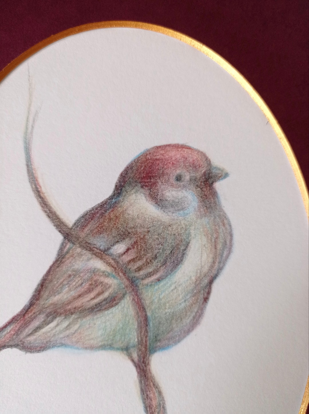 Bird Sparrow Drawing Crayon Drawing Rysunek Kredkami Ptak Wróbel - Etsy