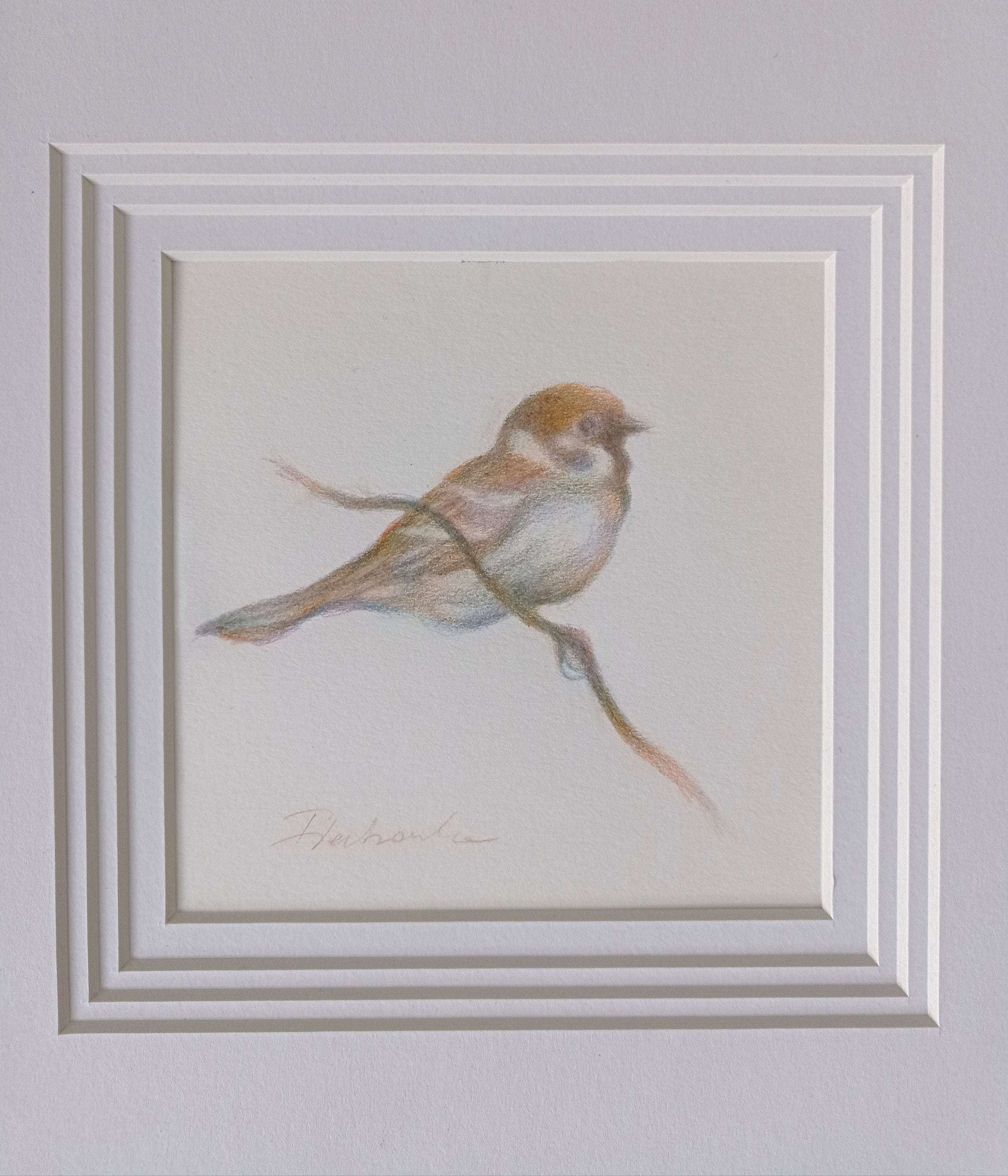 Bird Sparrow Drawing Crayon Drawing Rysunek Kredkami Ptak Wróbel - Etsy