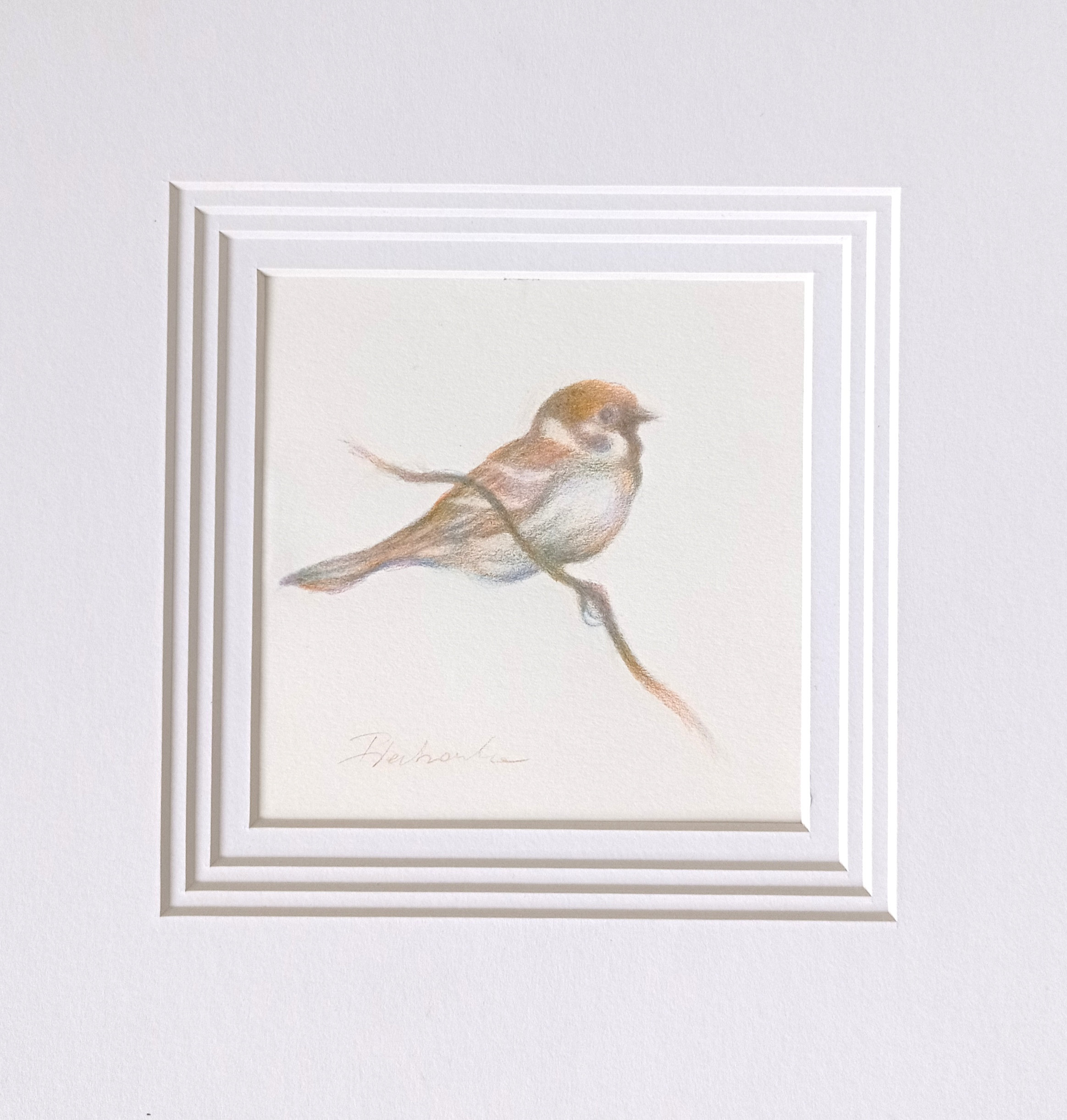 Bird Sparrow Drawing Crayon Drawing Rysunek Kredkami Ptak Wróbel - Etsy