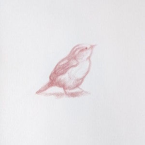 Drawing of a Bird Sparrow Sketch Drawing Crayon Drawing Rysunek ...