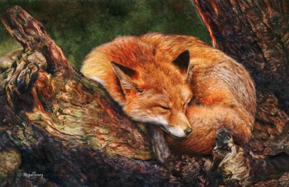 Limited Edition FOX PRINT Signed and Numbered With - Etsy