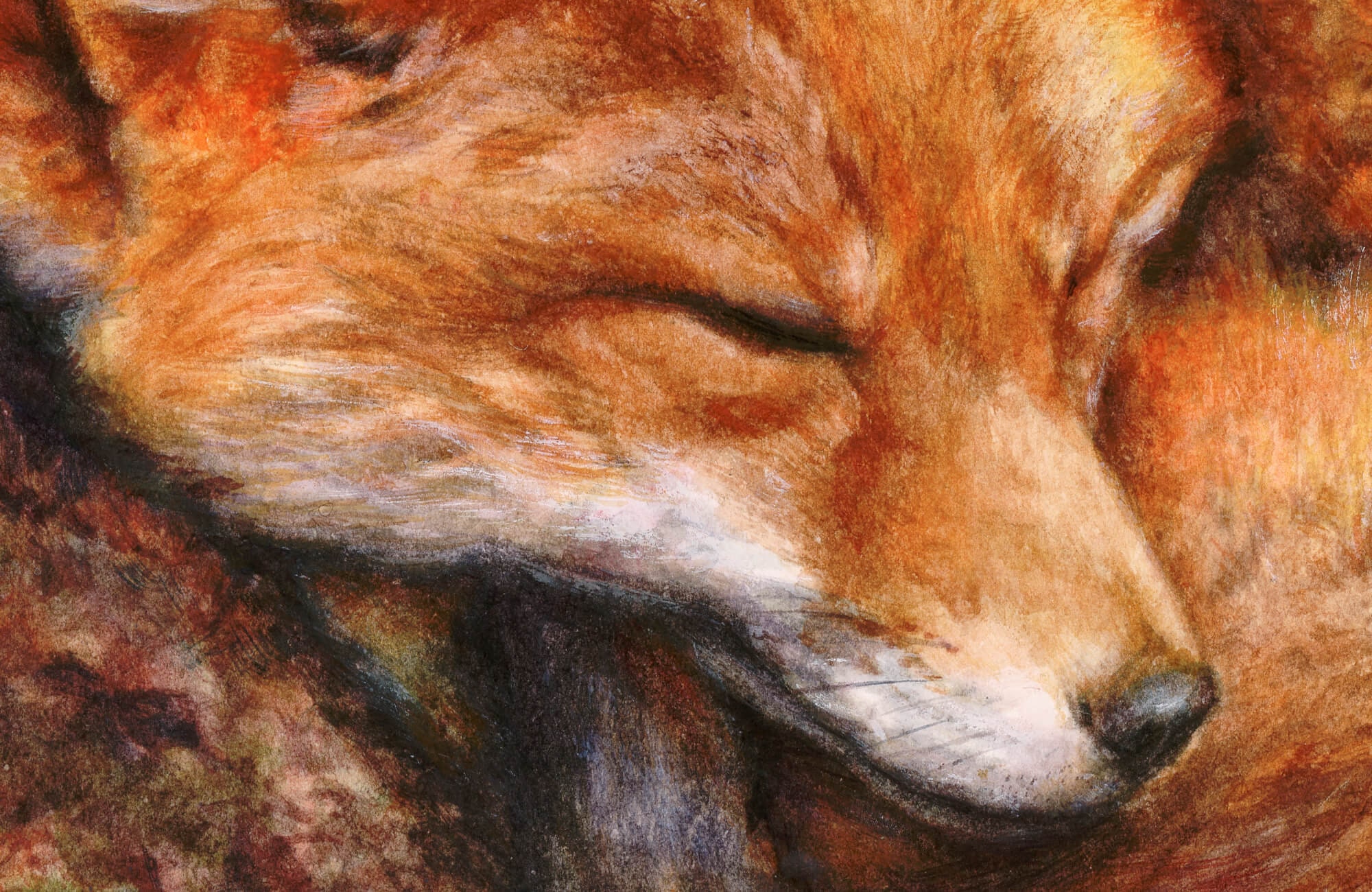 Limited Edition Fox Print, Signed Giclee Watercolour Wildlife Art - Etsy