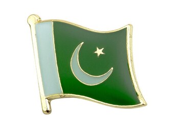 South Asia Flag Pin Badge - Etsy