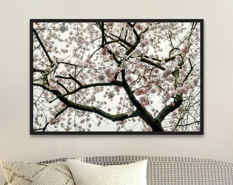 Signs of Spring in North Carolina Print, Gallery Wall Print, Pink ...